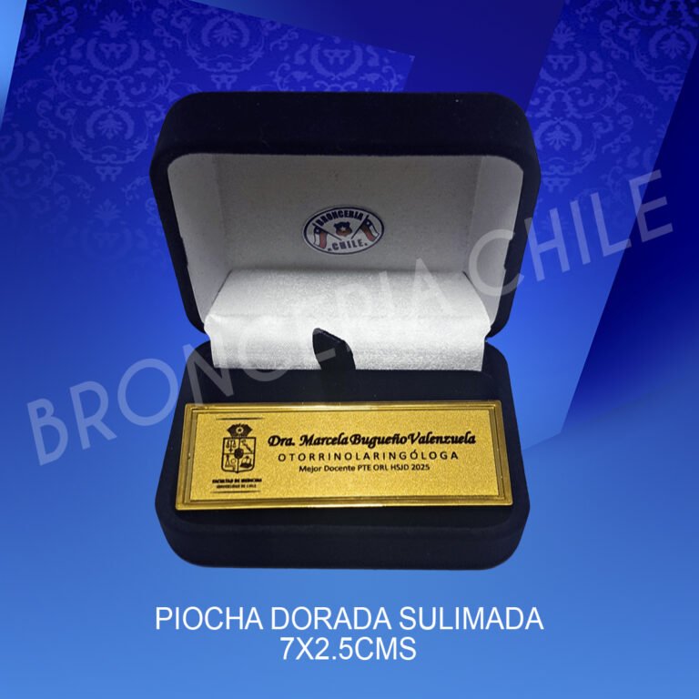 Piochas – Broncería Chile